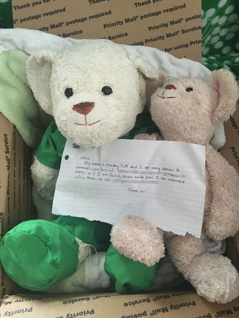 Monkey Puff’s Spa Visit – The S.A.R.F.