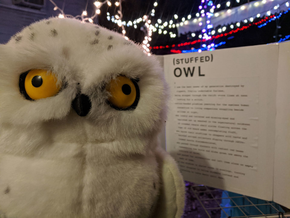 The S.A.R.F. | THE STUFFED ANIMAL RESCUE FOUNDATION