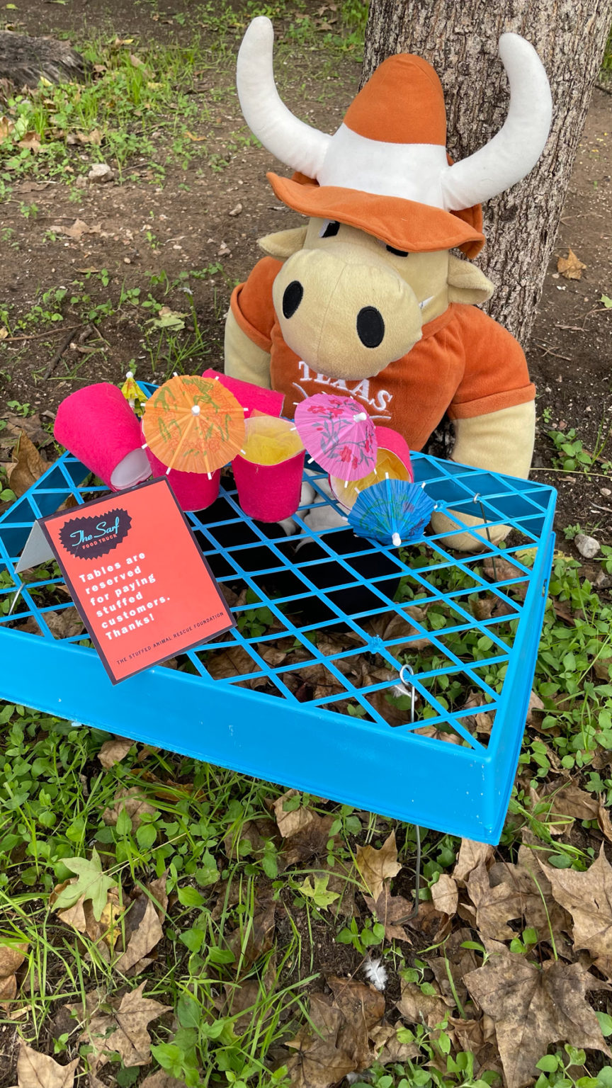 The S.A.R.F. – THE STUFFED ANIMAL RESCUE FOUNDATION