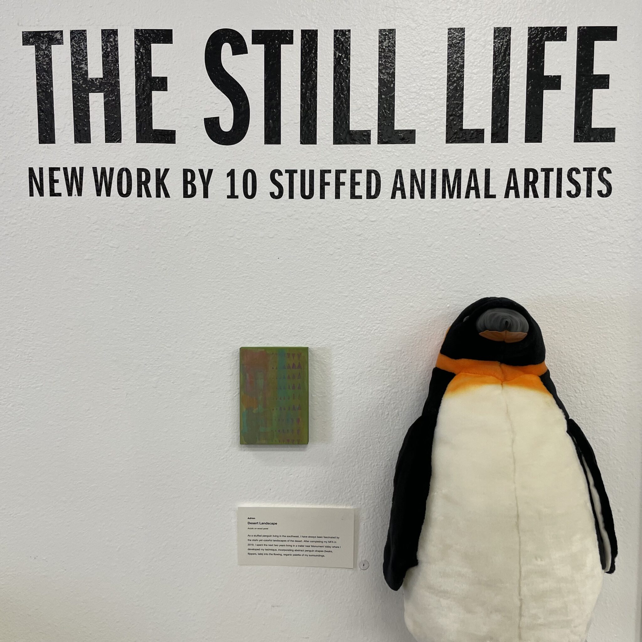 The S.A.R.F. | THE STUFFED ANIMAL RESCUE FOUNDATION