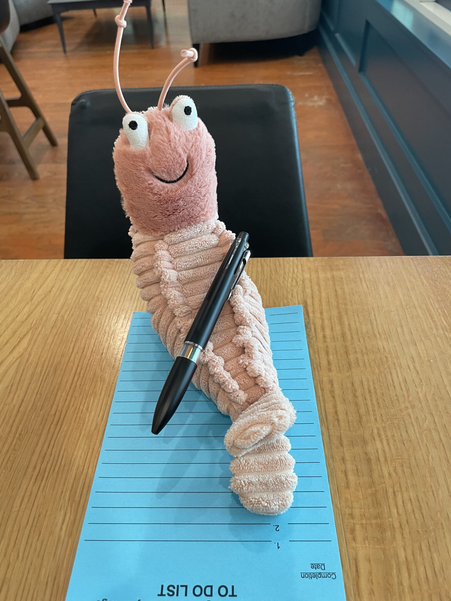 The S.A.R.F. | THE STUFFED ANIMAL RESCUE FOUNDATION