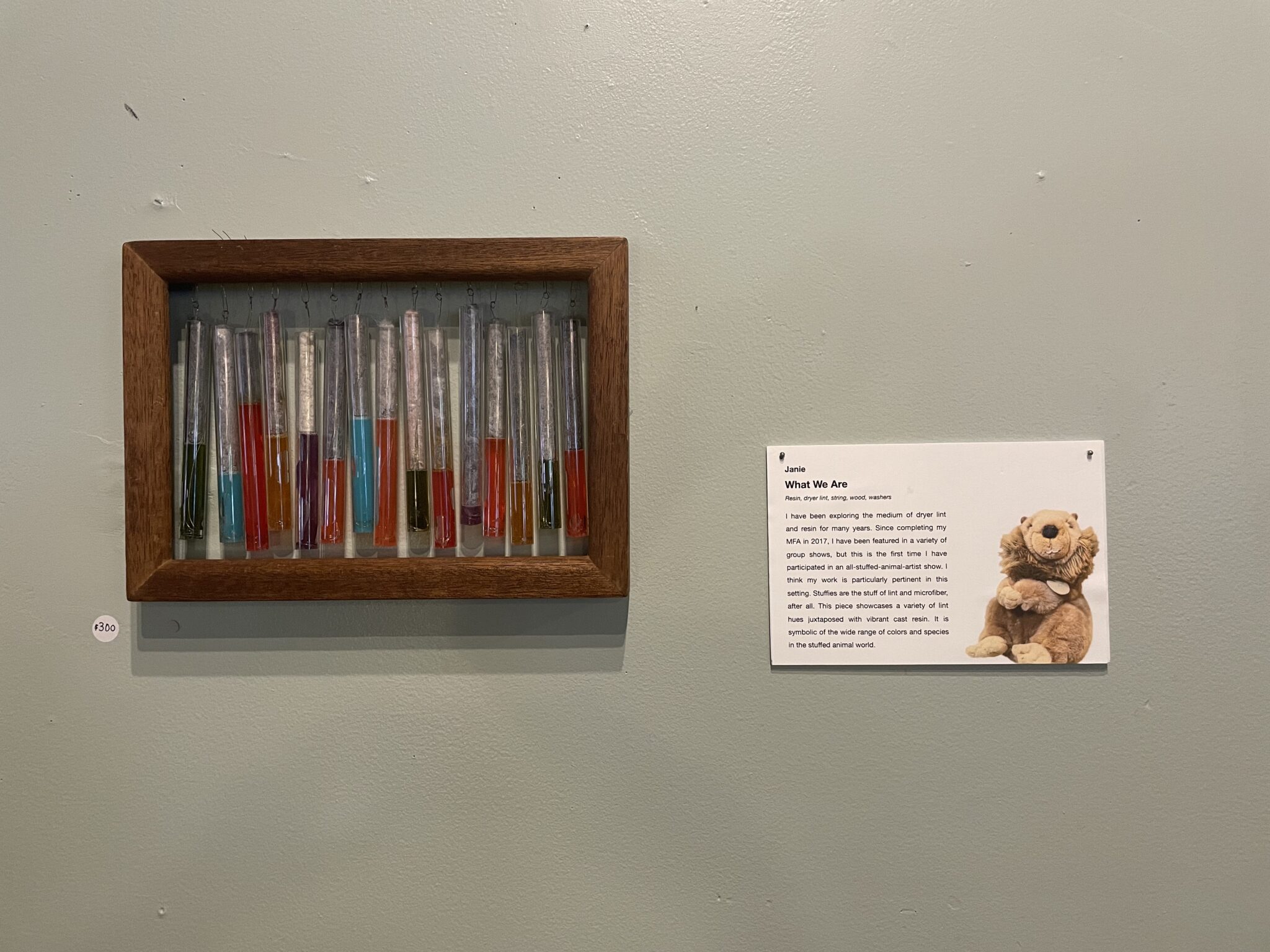 The S.A.R.F. – THE STUFFED ANIMAL RESCUE FOUNDATION